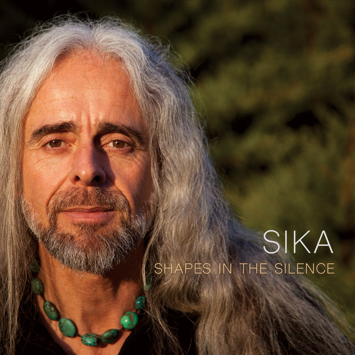 Sika – Nelson Provincial Museum